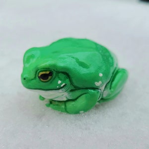Australian White's Tree Frog / Dumpy - Frog Nugget - Realistic Hand ...