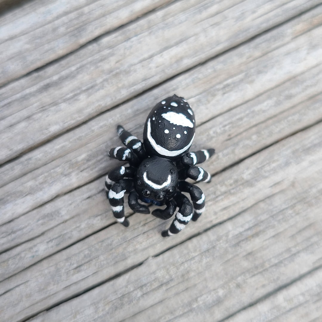 Bold Jumping Spider Figure - Phidippus Audax - Hand Painted Resin ...