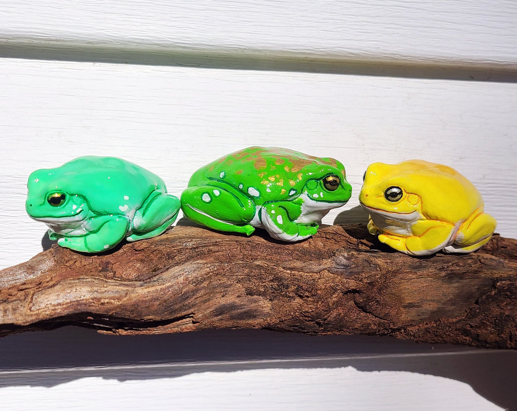 Gold Flake Australian White's Tree Frog / Dumpy - Frog Nugget ...