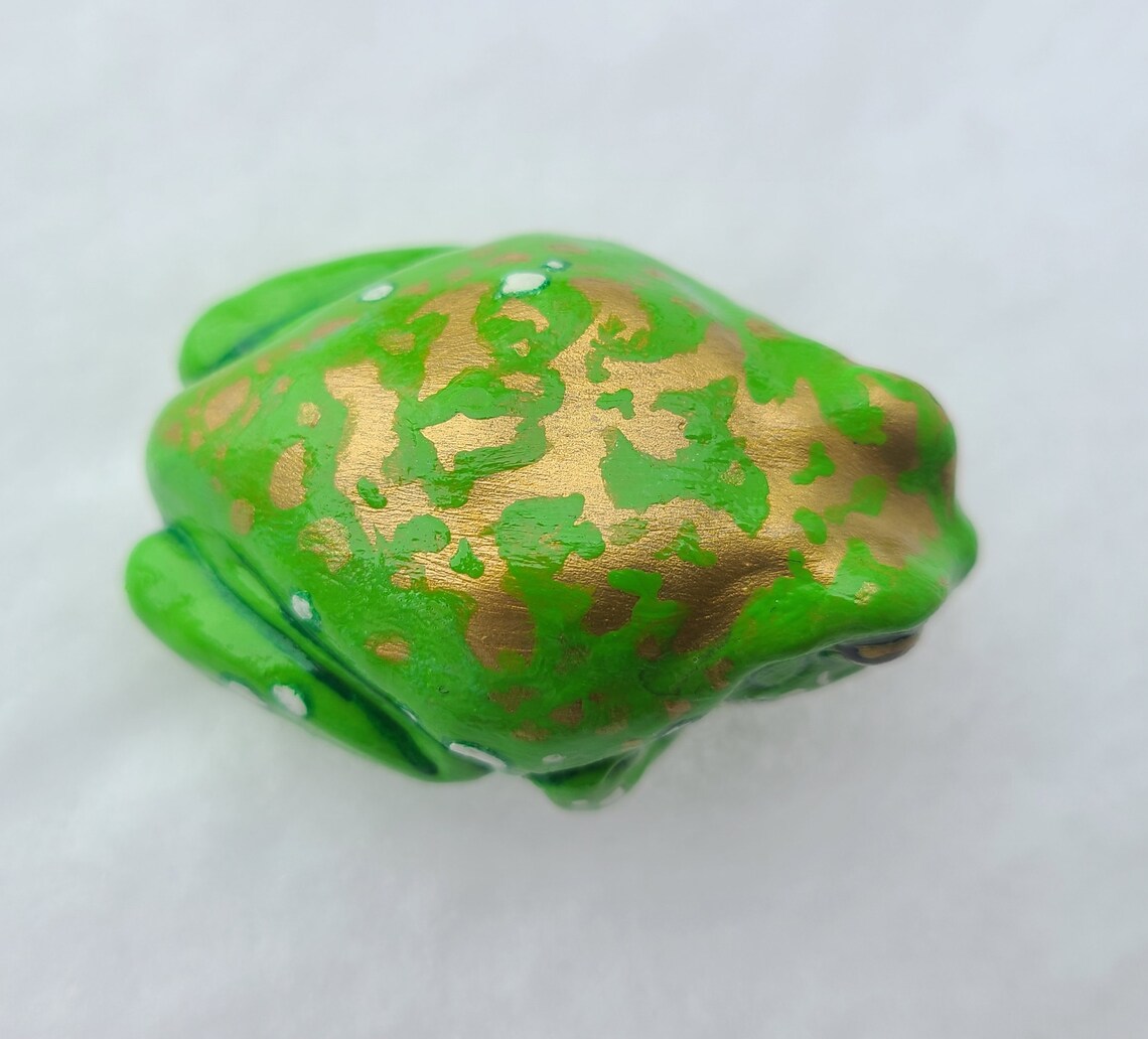 Gold Flake Australian White's Tree Frog / Dumpy - Frog Nugget ...