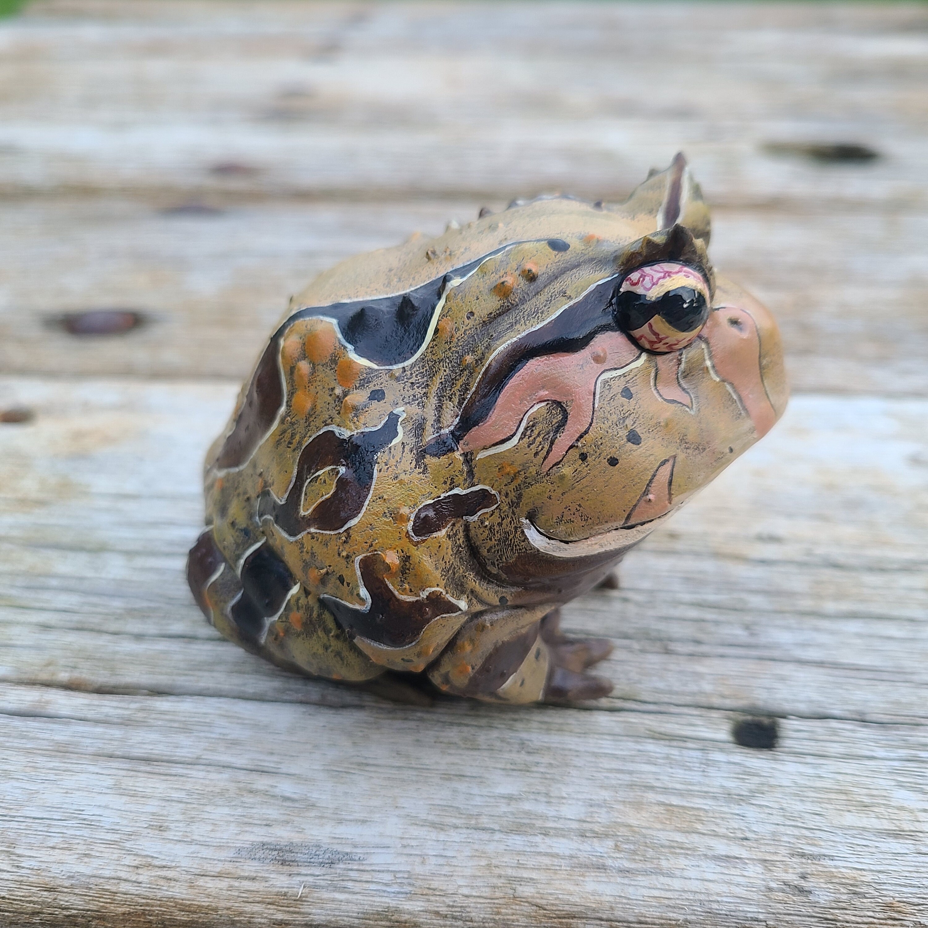 Large Surinam Horned Frog Figure Realistic Handpainted Resin - Etsy