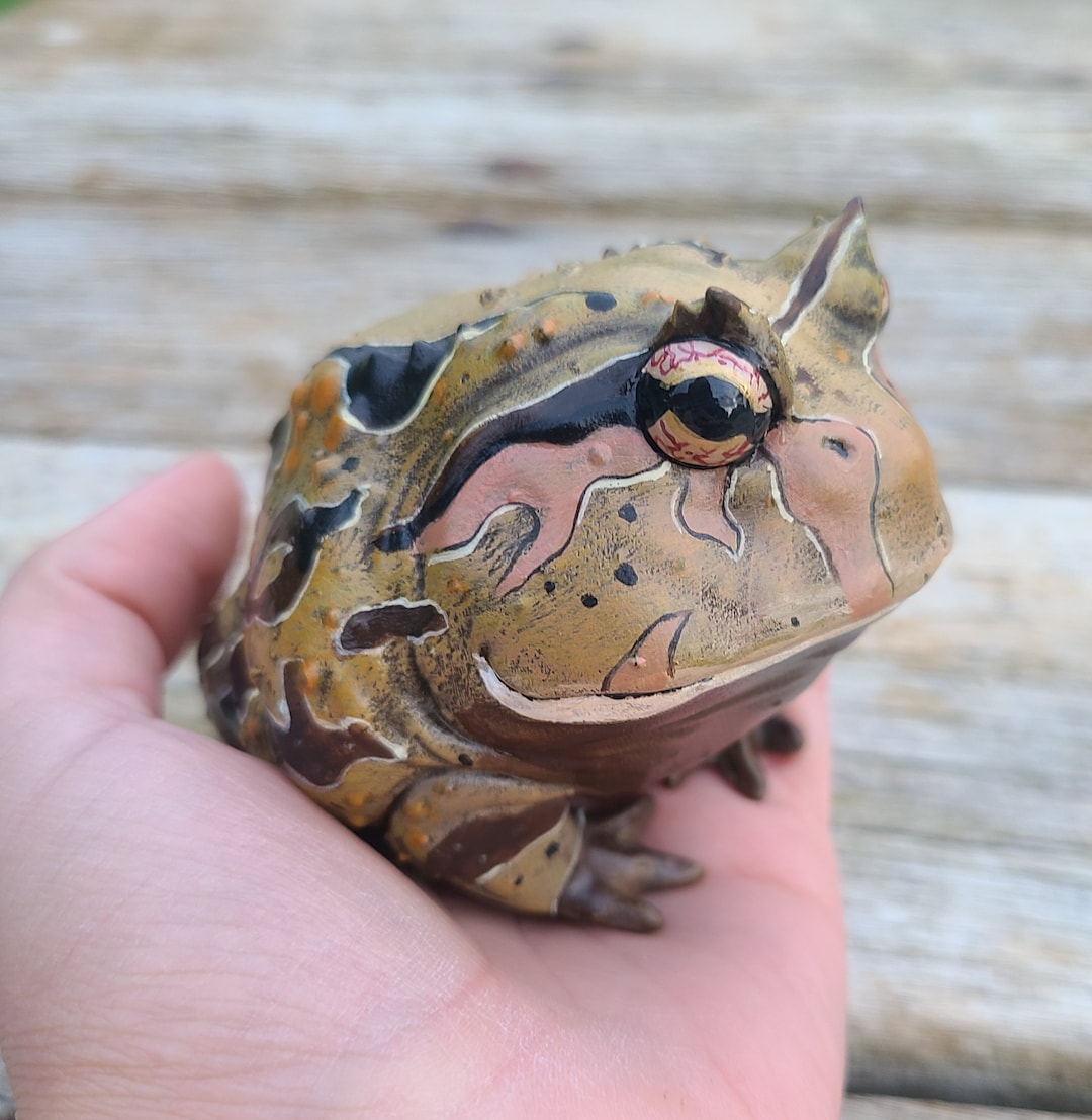 Large Surinam Horned Frog Figure Realistic Handpainted Resin - Cute ...