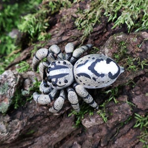 Heavy Jumping Spider Figure - Hyllus Diardi - Hand Painted Resin Spider ...