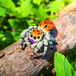 Jumping Spider Pin - Multiple Species - Hand Painted Resin Spider With ...