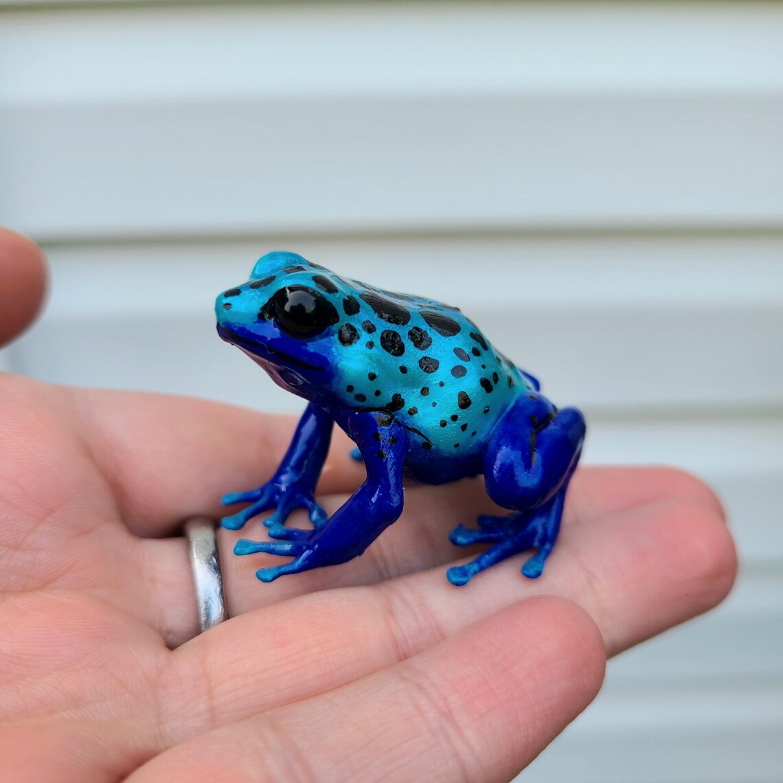 Blue Poison Dart Frog- Hand Painted Resin Frog Figurine - Etsy