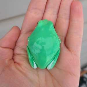 Australian White's Tree Frog / Dumpy - Frog Nugget - Realistic Hand ...