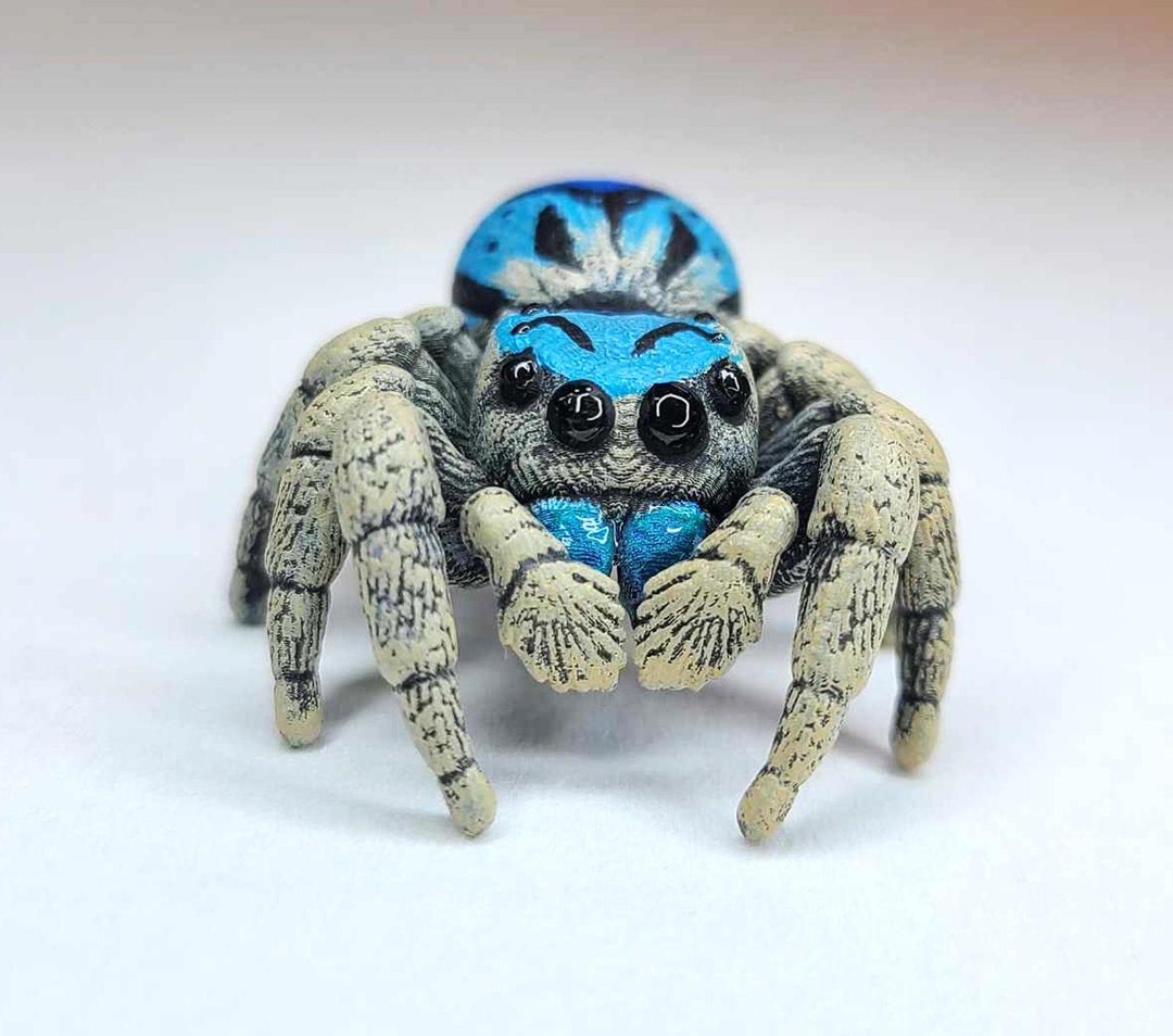 Blueberry Regal Jumping Spider Figure - Blue Fantasy Phidippus Regius ...