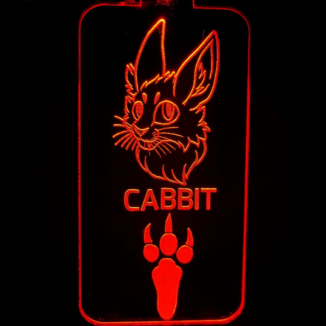 Cabbit Cat Rabbit Acrylic Rechargeable LED Badge - Color Changing Clear ...