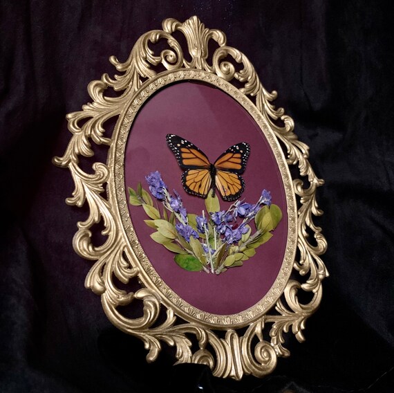 Butterfly in Frame - Etsy
