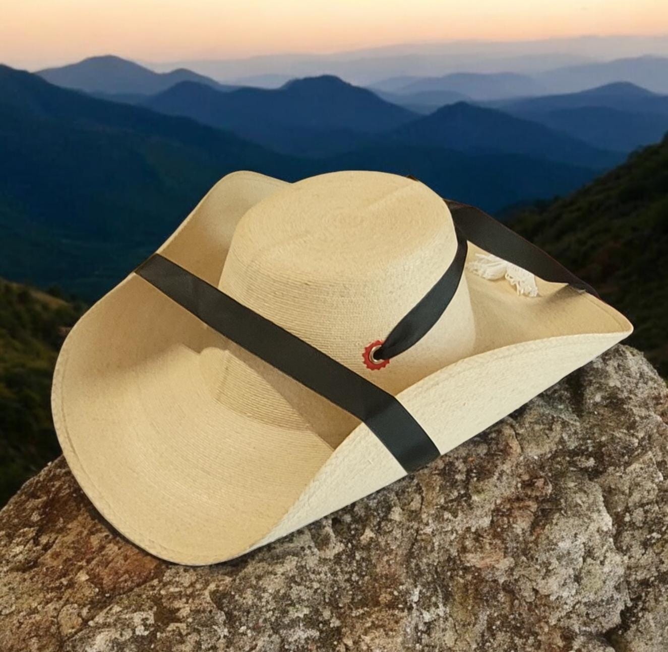 Palma Hat Sombrero Calentano 100% De Palma Hecho En Tlapehuala Guerrero ... Palma Hat Sombrero Calentano 100% De Palma Hecho En Tlapehuala Guerrero ...