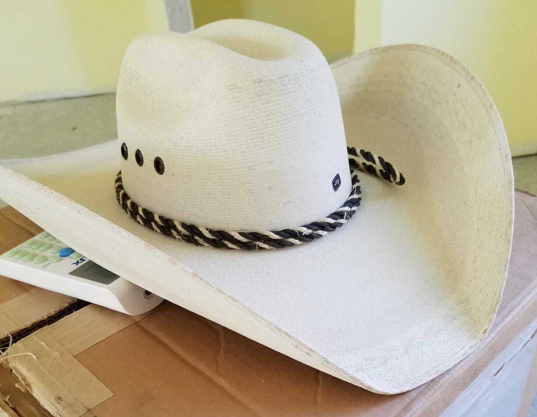 Palm Leaf Charro Cowboy Hat of Palm Tree, Sahuayo Authentic Big Brim 12 ...