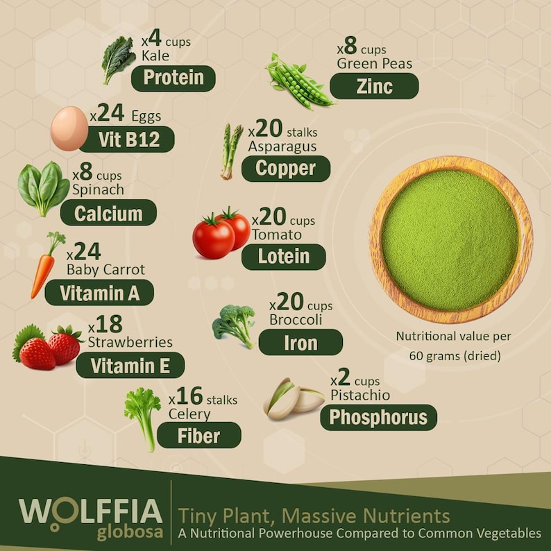 Wolffia Globosa Superfood Powder: High Protein, Vegan, Mineral Rich (2. ...