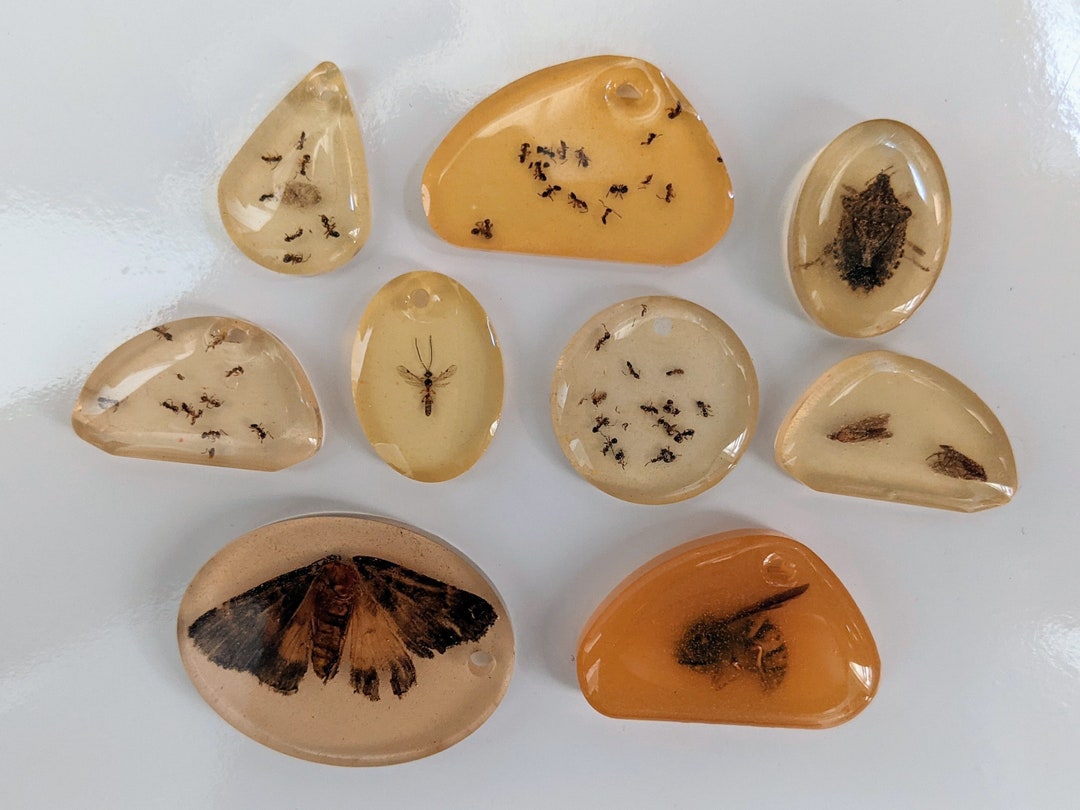Ants or Other Bugs in Amber Resin Epoxy to Make Pendant, Keychain ...