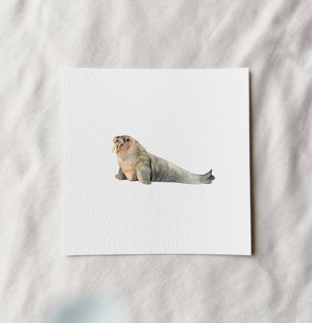 Walrus Miniature Art Print Print After My Original Watercolor - Etsy