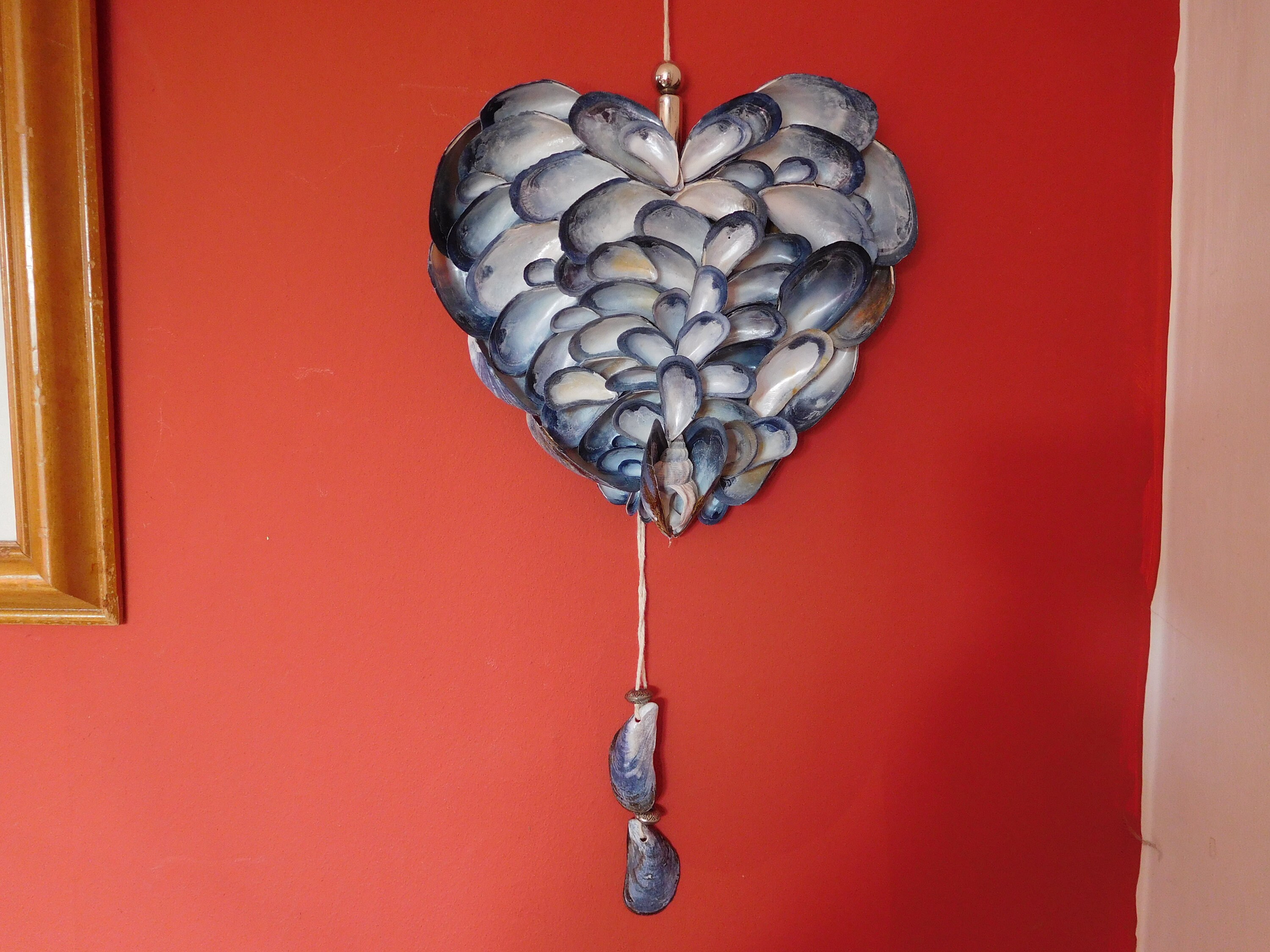 Natural Scottish Mussel Shell Wall Hanging - Etsy