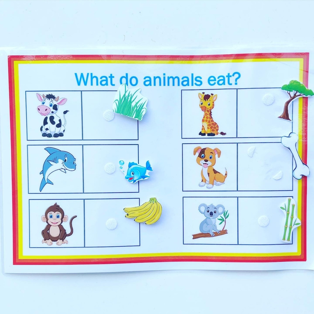 What Animals Eat Activity Sheet - Etsy