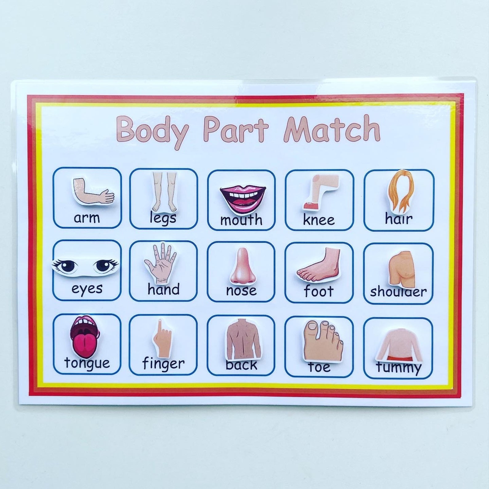 Body part match activity sheet - Etsy.de