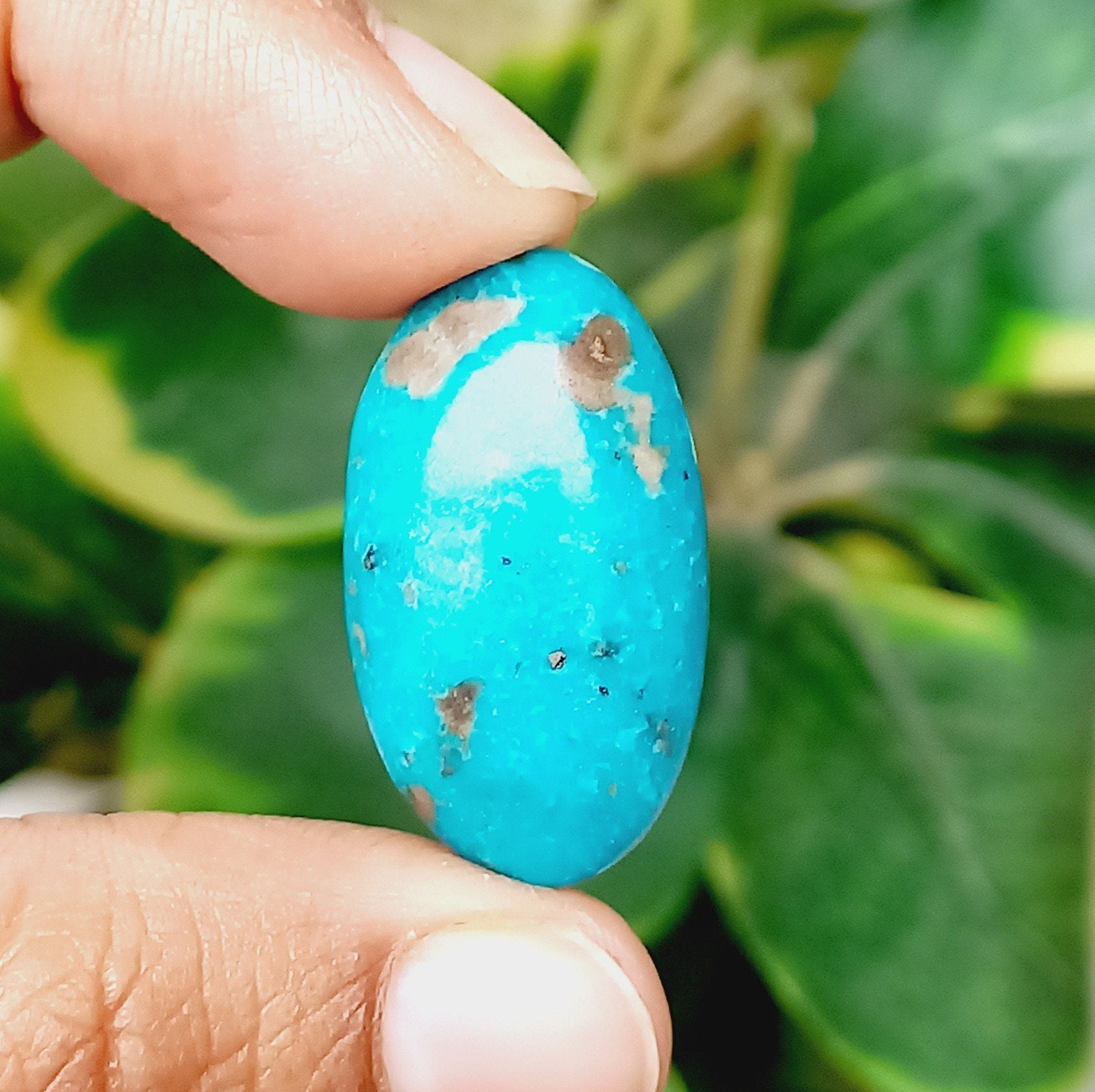 Natural Blue Turquoise 19.50 Cts. Oval Cabochon Gemstone, AAA Blue ...