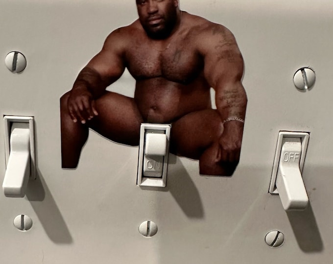 Funny Light Switch Sticker Funny Stickers Laptop Stickers Water Bottle ...