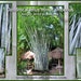Angel Mist Bamboo - Dendrocalamus Minor 'amoenus' **NON-INVASIVE ...