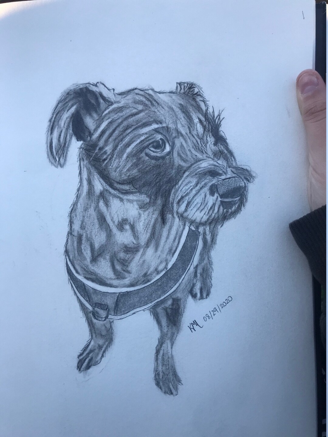 Custom Animal Drawings and or Paintings - Etsy