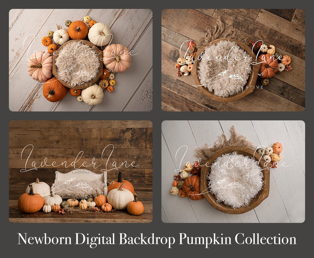 Newborn Fall Digital Backdrop Bundle, Pumpkin Fall Theme, Wooden ...