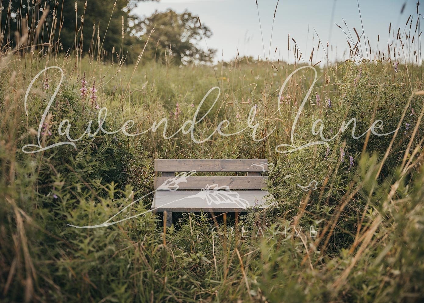 Outdoor Digital Backdrop Composite Rustic Bench in Beautiful - Etsy