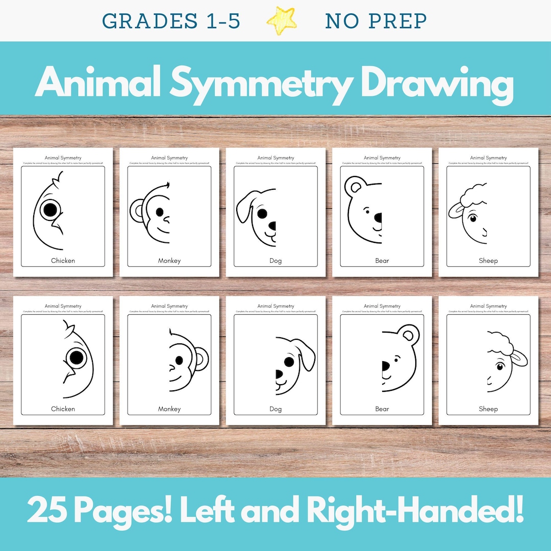 Animal Symmetry Drawing Activity - Etsy