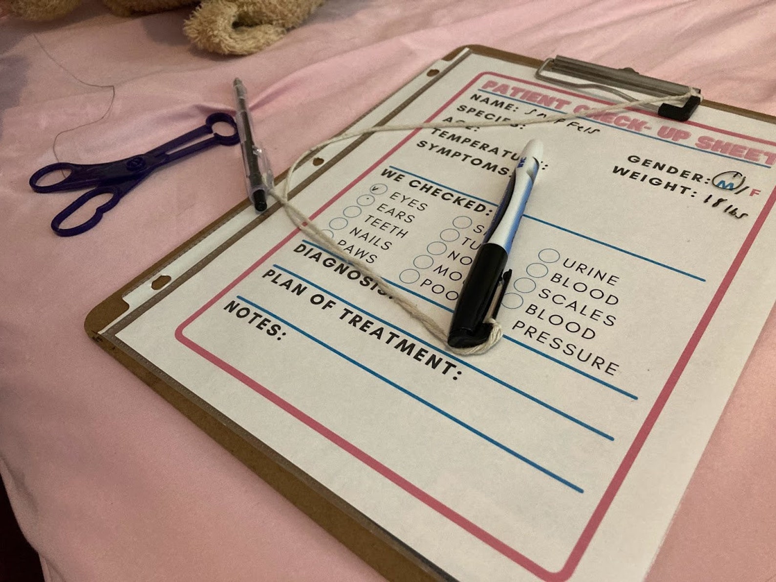 Veterinarian Dramatic Play Set Printables and Templates - Etsy