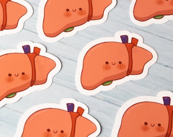 Liver Transplant Sticker Funny Liver Transplant Gift Liver Transplant ...
