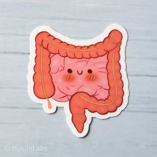 Intestine Decal - Etsy