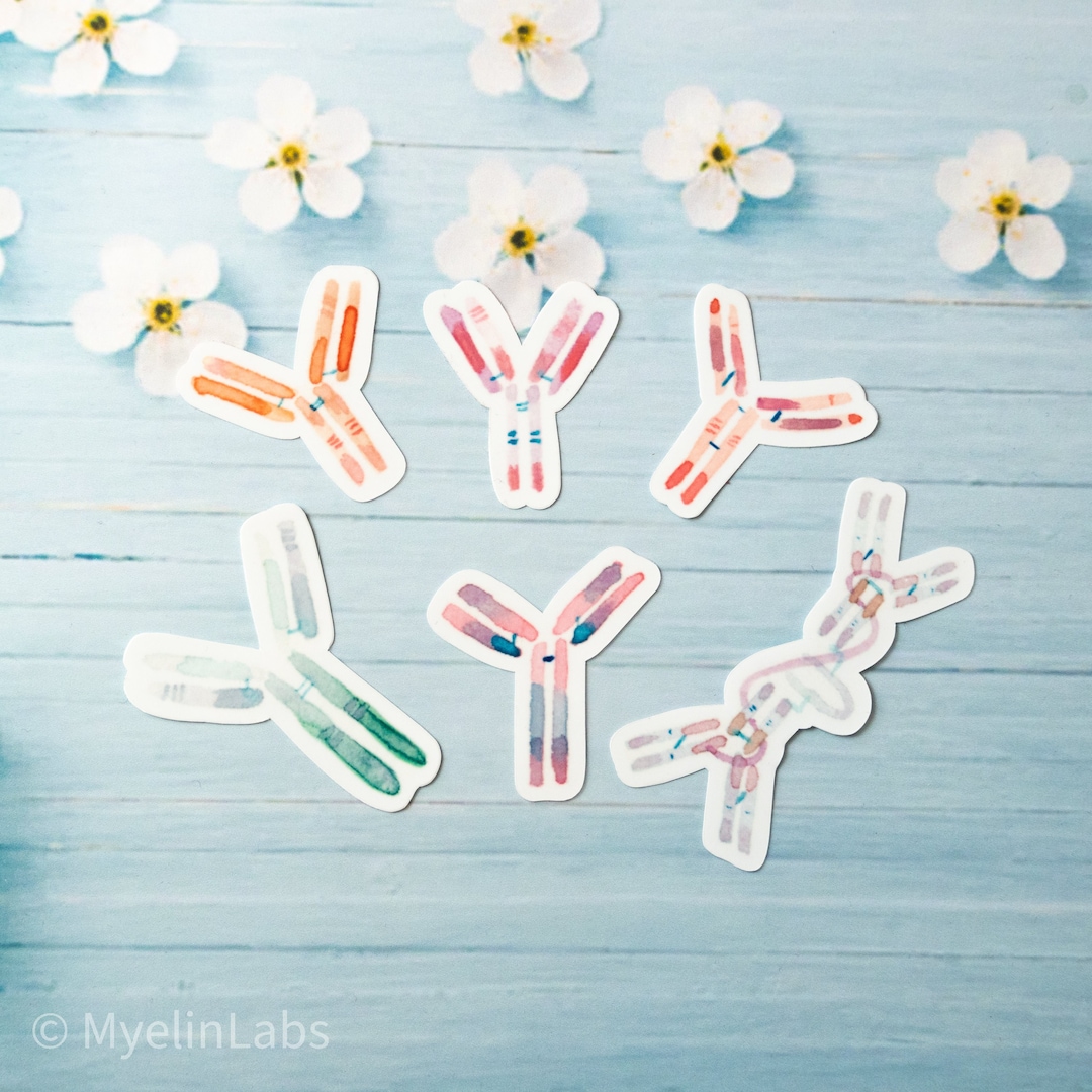 Antibody Sticker Set - Biology Stickers, Immunology Stickers ...