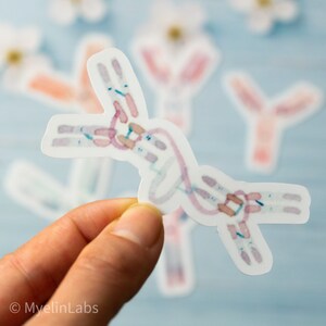 Antibody Sticker Set - Biology Stickers, Immunology Stickers ...
