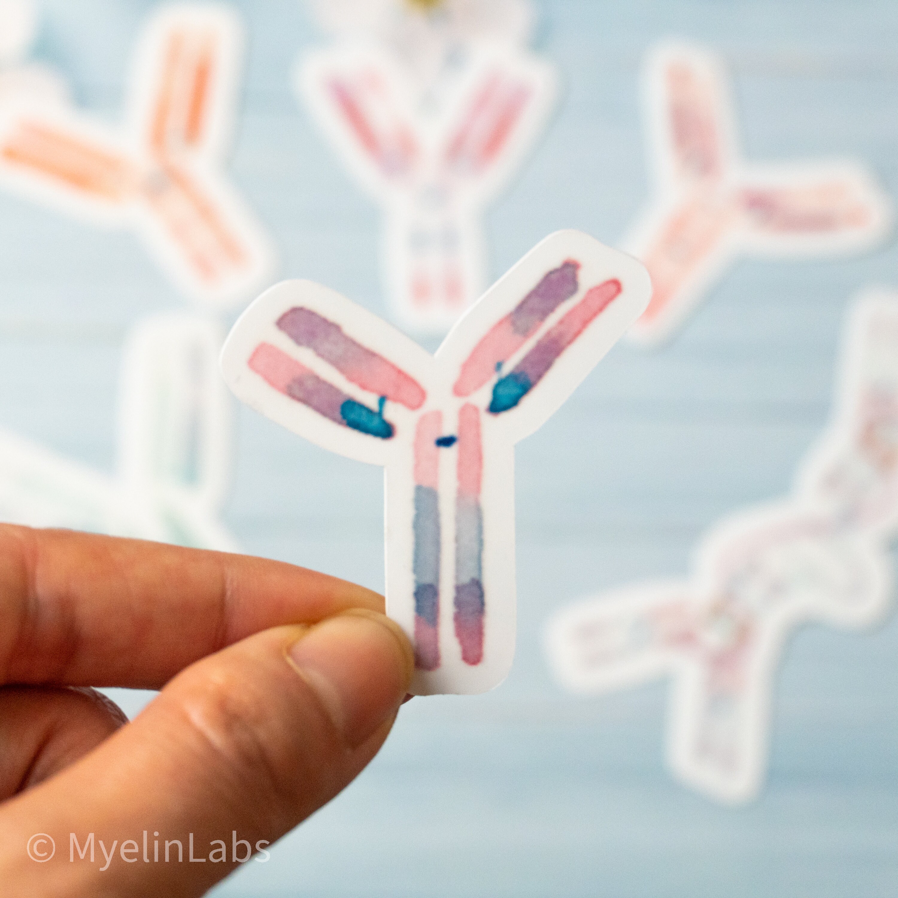 Antibody Sticker Set - Biology Stickers, Immunology Stickers ...