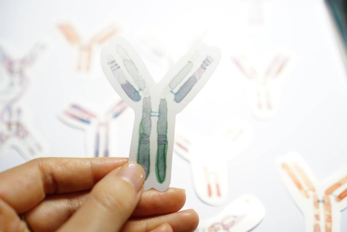 Antibody Sticker Set Biology Stickers Immunology Stickers | Etsy