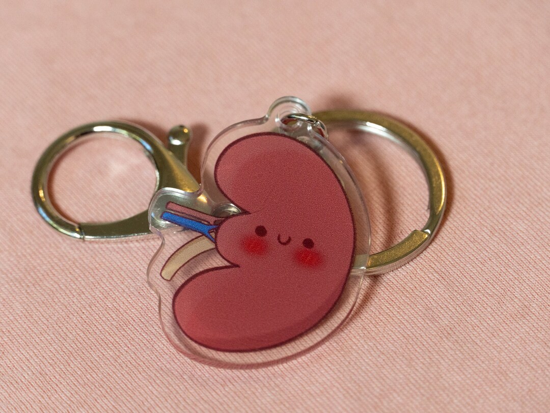 Kidney Keychain, Molecular Biology Keychain, Science Keychain ...