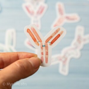 Antibody Sticker Set - Biology Stickers, Immunology Stickers ...