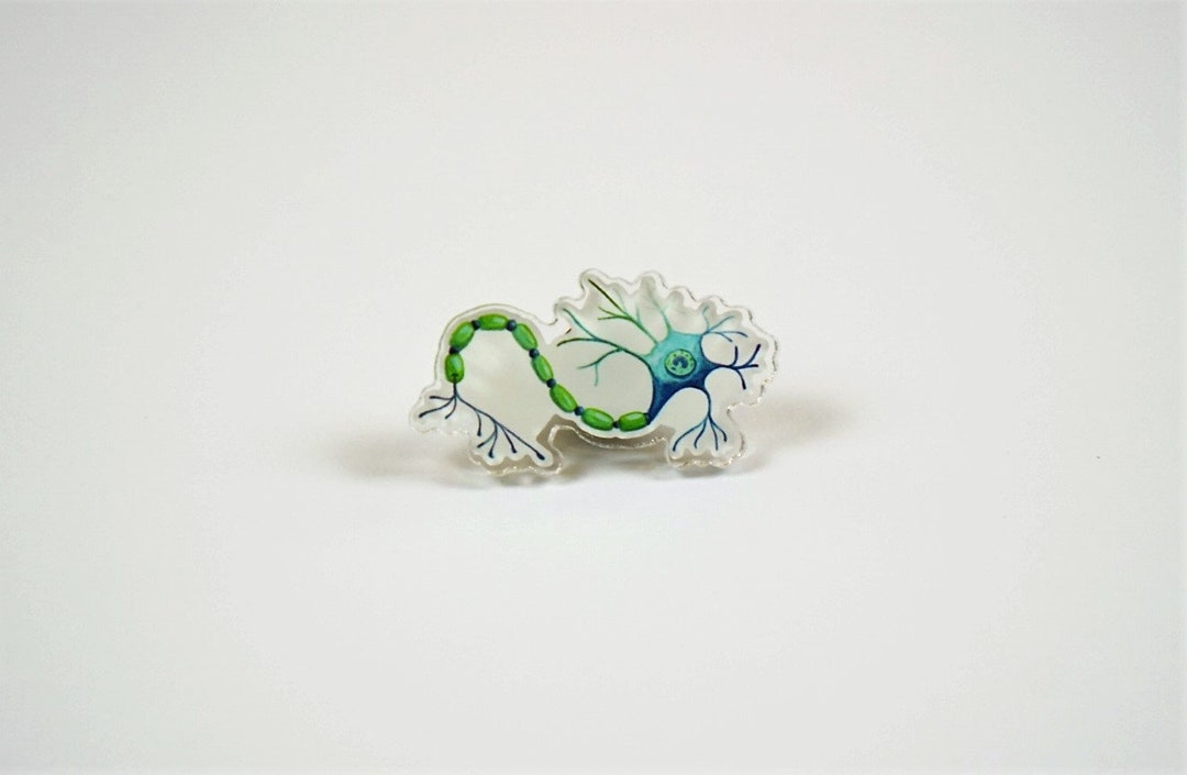 Neuron Pin, Molecular Biology Pins, Neuroscience Pin, Neuron Badge, Phd ...