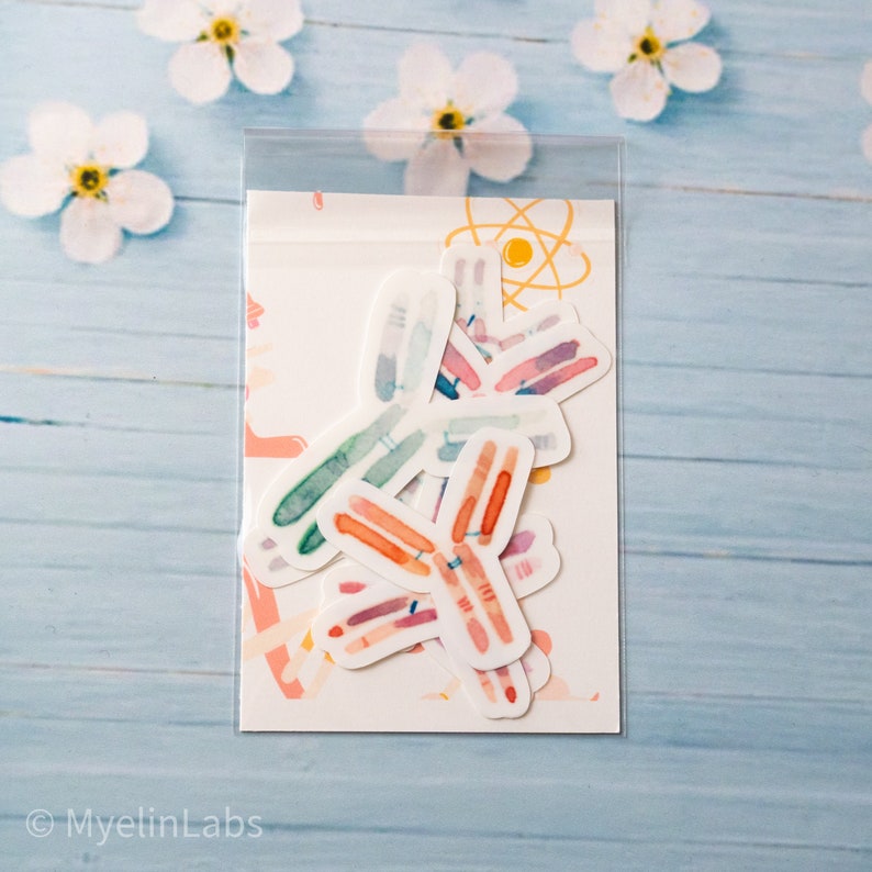 Antibody Sticker Set - Biology Stickers, Immunology Stickers ...