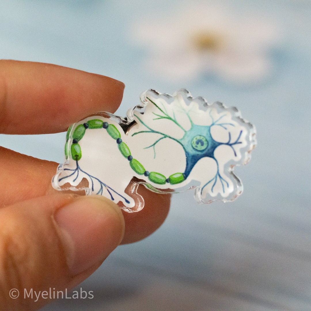 Neuron Pin Molecular Biology Pins Neuroscience Pin Neuron - Etsy