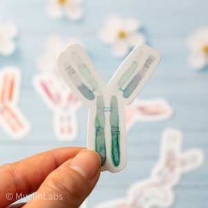 Antibody Sticker Set - Biology Stickers, Immunology Stickers ...