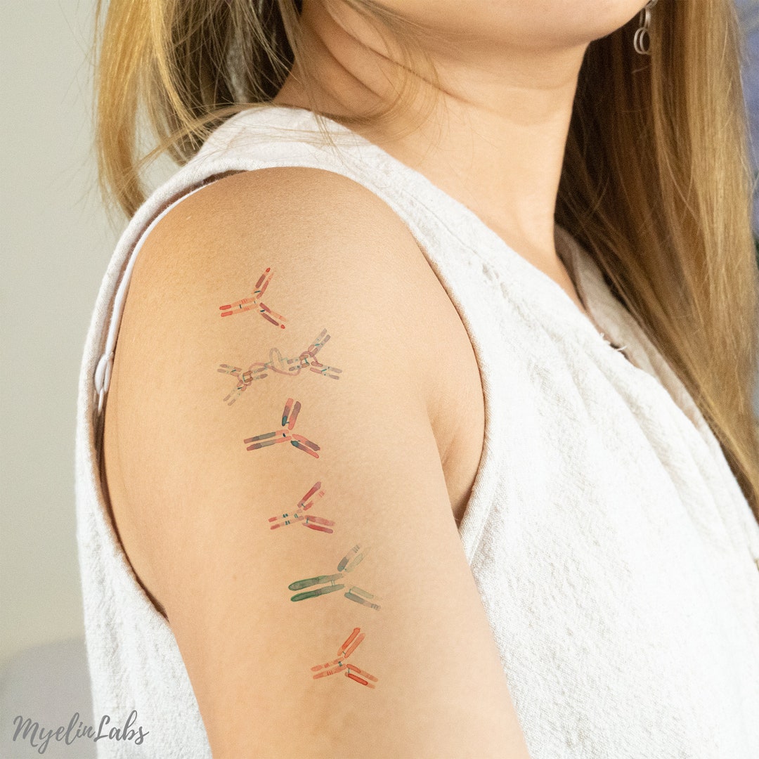Antibody Temporay Tattoo, Immunology Tattoo, Research Retreat Ideas ...