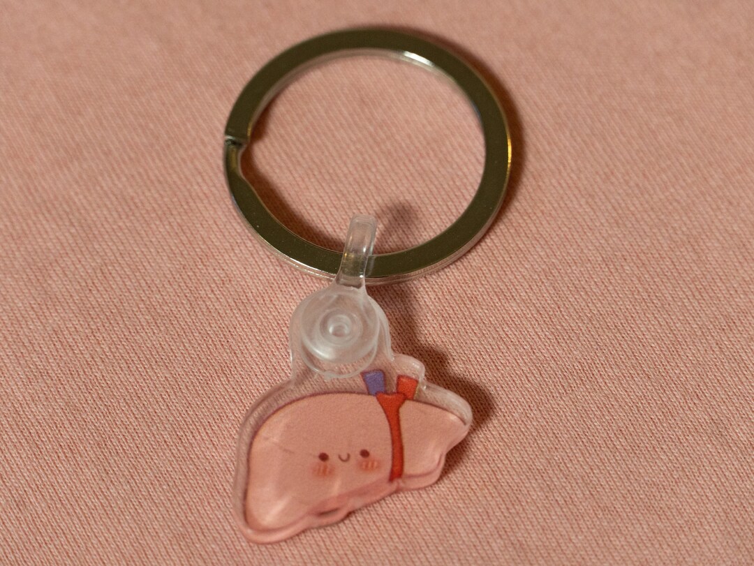 Liver Keychain, Molecular Biology Keychain, Medicine Keychain ...