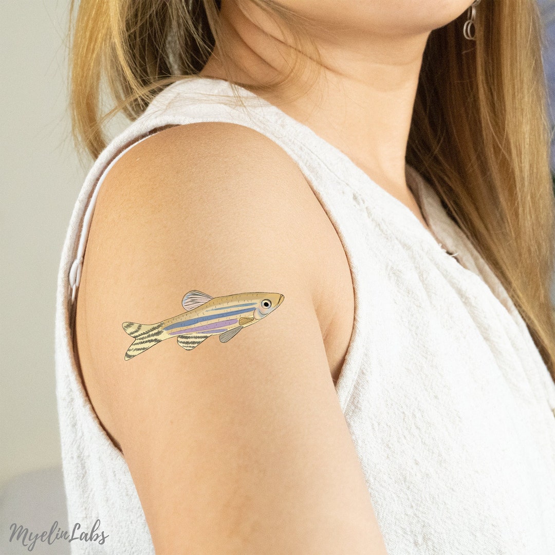 Zebrafish Temporay Tattoo, Marine Biology Tattoo, Gift for Scientists ...