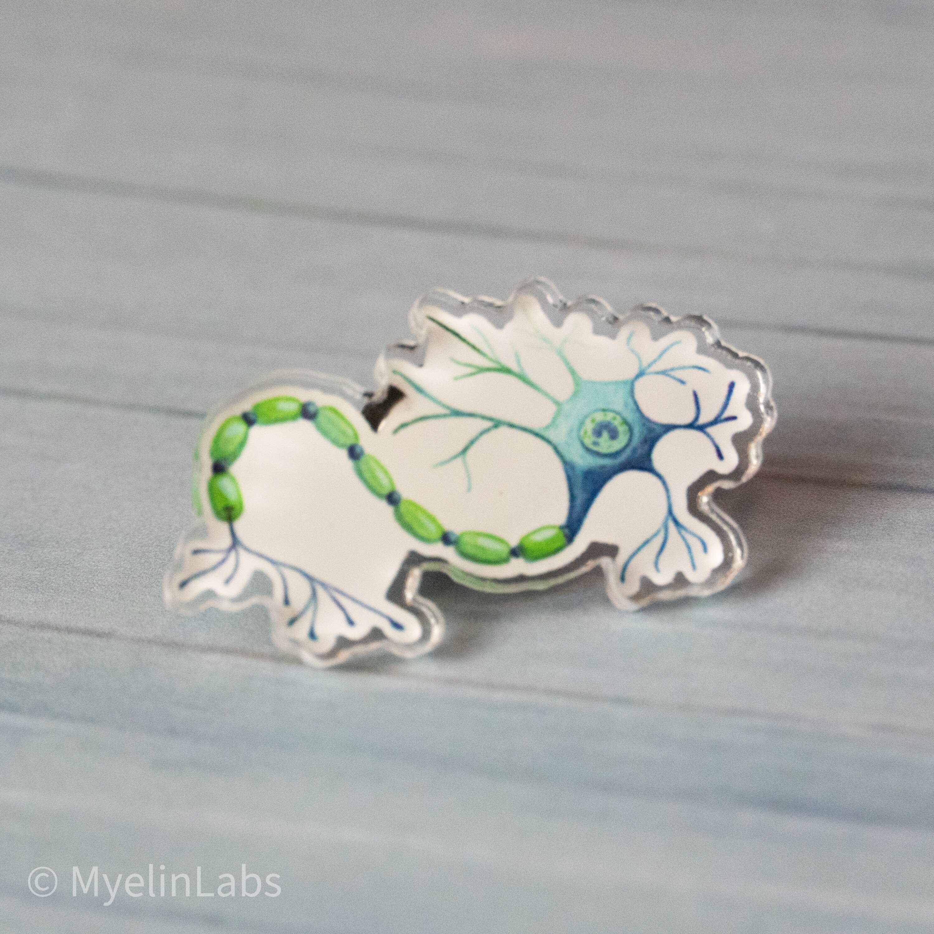 Neuron Pin Molecular Biology Pins Neuroscience Pin Neuron - Etsy
