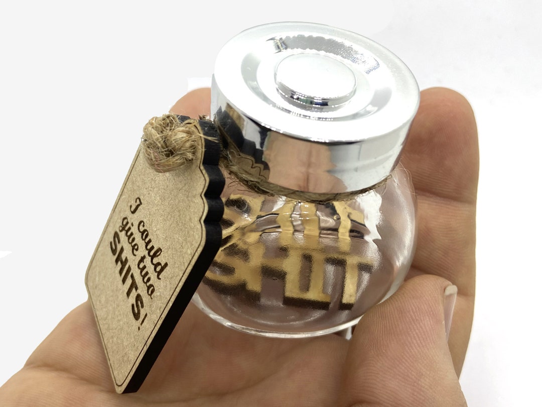 Could Give Two Shits Gift for Best Friend Stocking Stuffer Present Joke ...