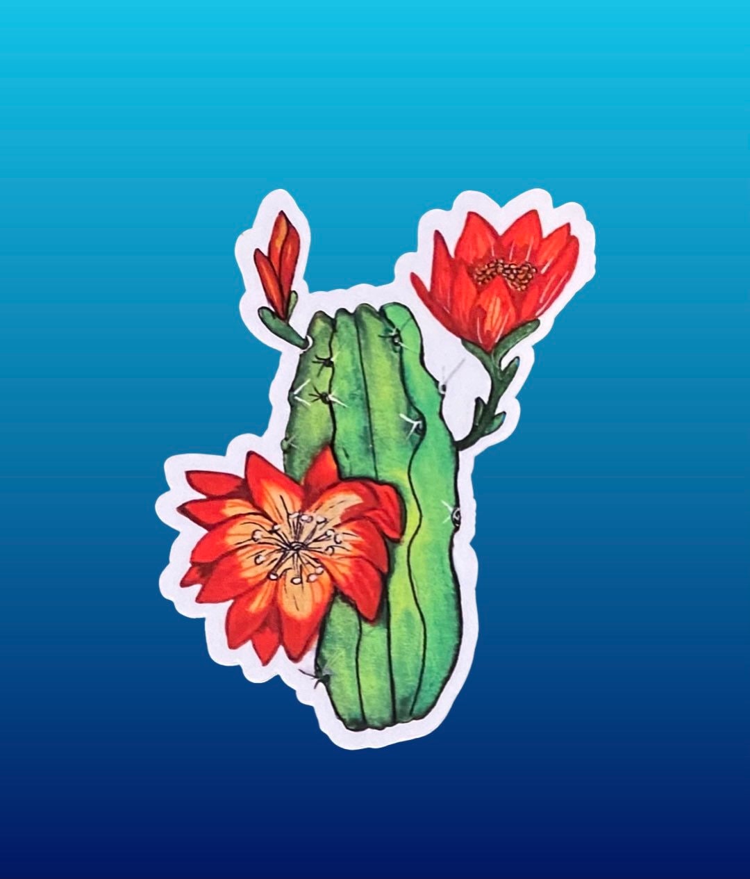 Blooming Cactus Custom Watercolor Vinyl Laptop Sticker, Cactus Sticker ...