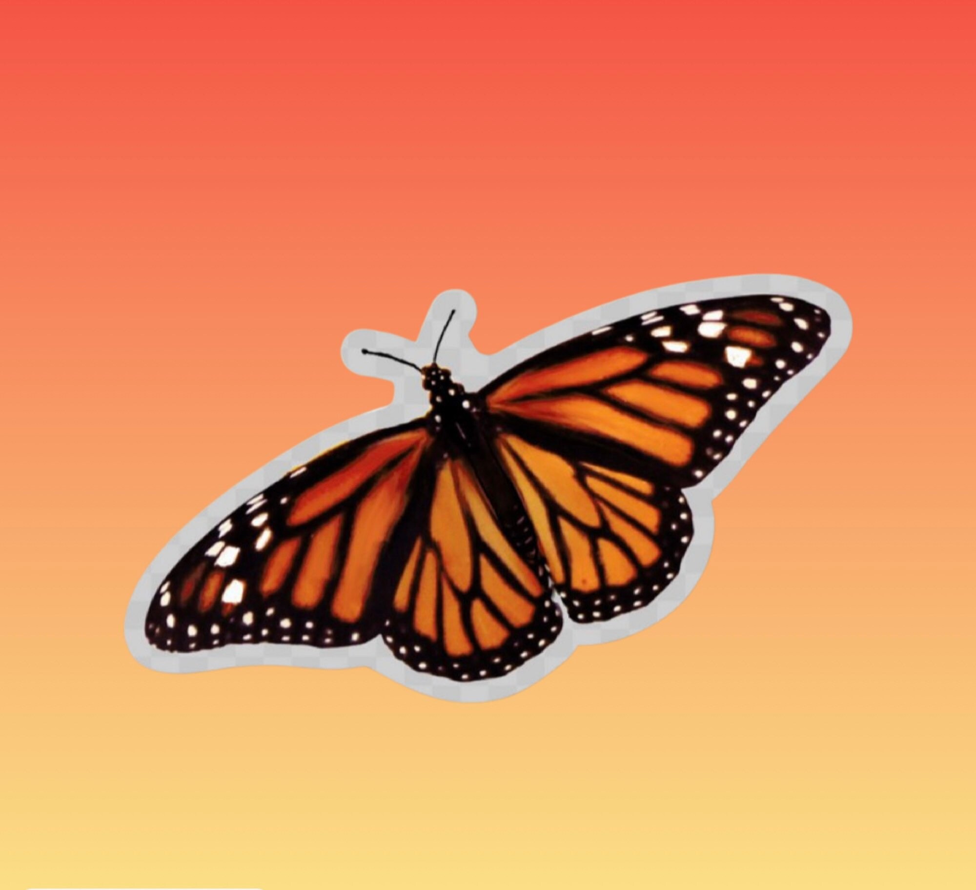 Monarch Butterfly Sticker Waterproof Sticker Butterflies - Etsy
