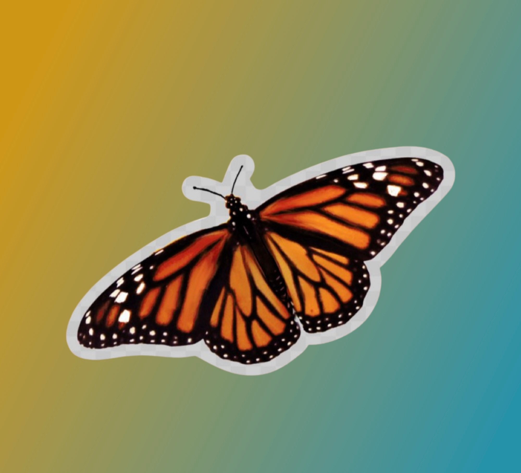 Monarch Butterfly Sticker Waterproof Sticker Butterflies - Etsy