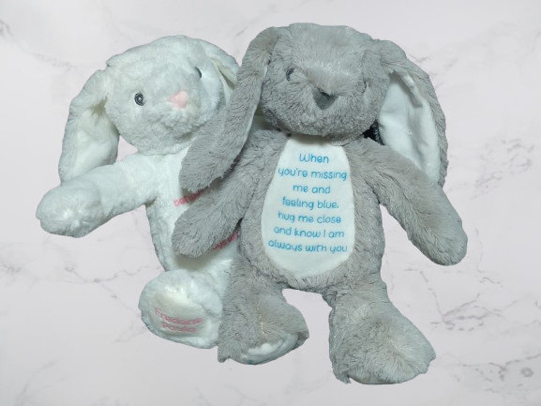 Personalised Memorial Bunny Plush, Custom Keepsake Gift With Heartfelt ...